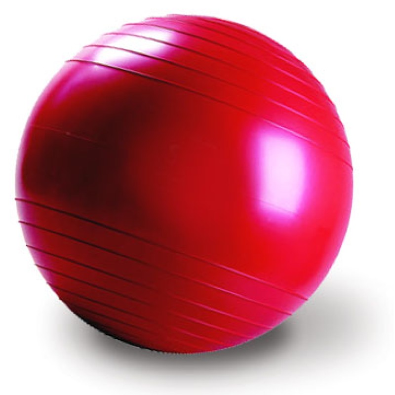Stability Xercise Ball - LOG10225 - Lodging Goods
